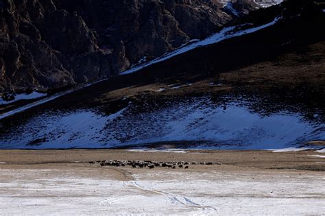 Отрын бүсэд өвөлжиж байгаа малчидтай уулзаж тулгамдаж байгаа асуудал болоод санал сэтгэгдлийг