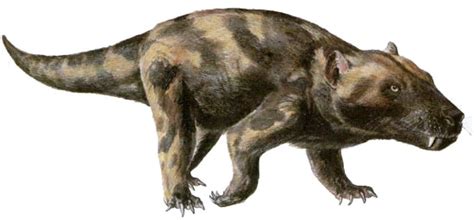 Cynognathus Dinopedia The Free Dinosaur Encyclopedia