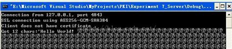 ssl tls编程 ssl ssl指针 csdn博客