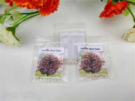 เมล็ดพันธ์ุผักสลัดแบบเคลือบ แบ่งซองละ 20 เมล็ด มี 5 สายพันธุ์ให้เลือก