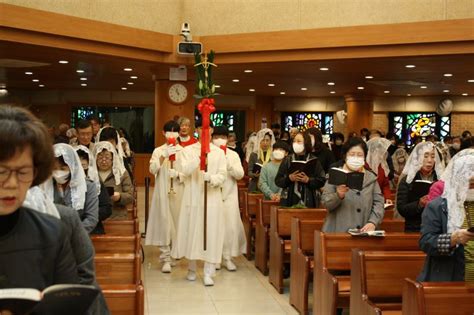 2024년 3월 24일 주님수난 성지주일 행사 사진 쌍문동성당