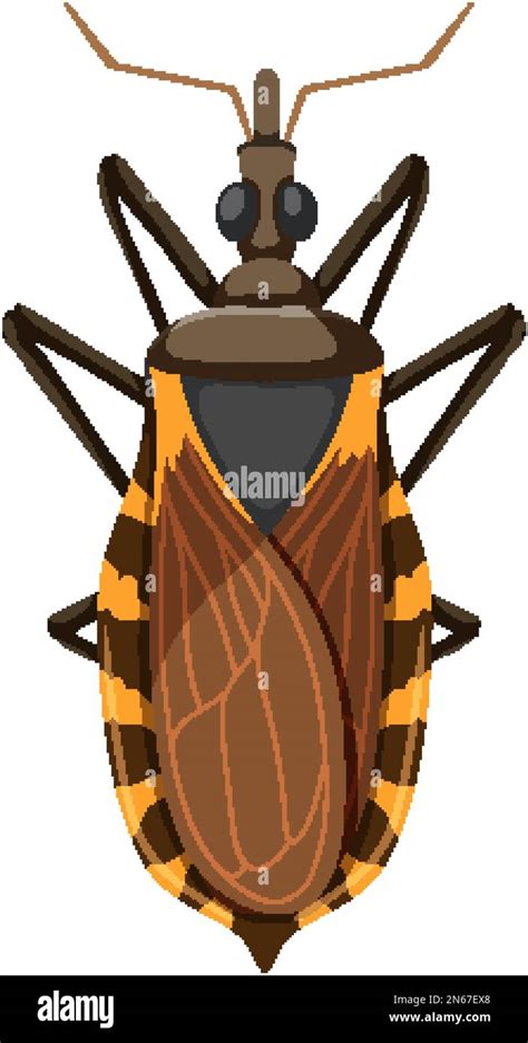 Kissing Bug On White Background Illustration Stock Vector Image And Art Alamy