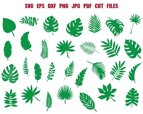 Tropical Leaves Svg Leaves Svg Leaf Svg Leaves Bundle Svg Palm Leaves