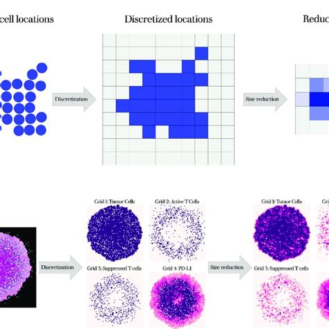 data processing schematic a and example simulation b from the