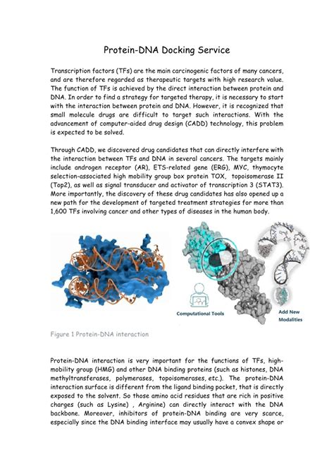 Protein Dna Docking Service