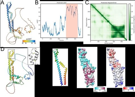 Figure S4 Alphafold Structure Prediction For Brl1 A Predicted Download Scientific Diagram
