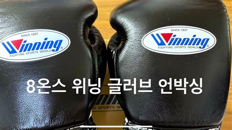 주문 4개월 만에 온 위닝 8온스 벨크로 복싱 글러브 Youtube