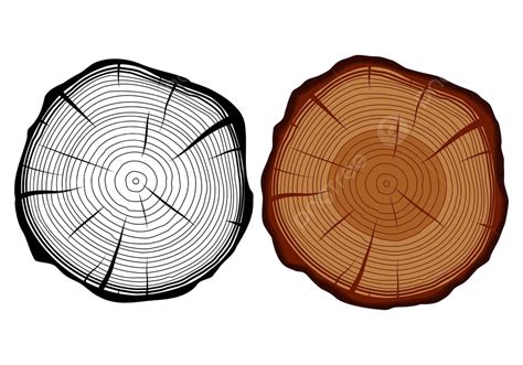 Tree Trunk In A Cut Structure Natural Split Vector Structure Natural