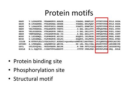 Ppt Motif Search And Motif Discovery Powerpoint Presentation Free Download Id2150733