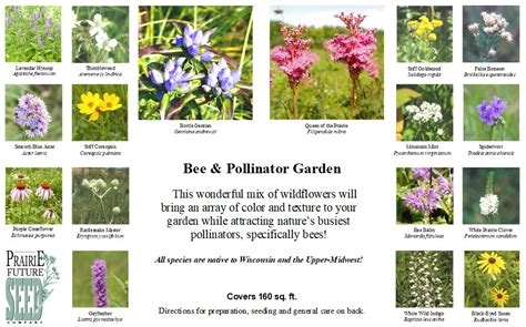 Prairie Future Seed Company Bee And Pollinator Garden Seed Mix