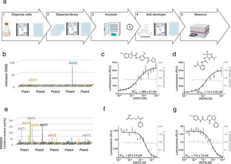 High Throughput Screening Applications A The High Resolution And Low Download Scientific