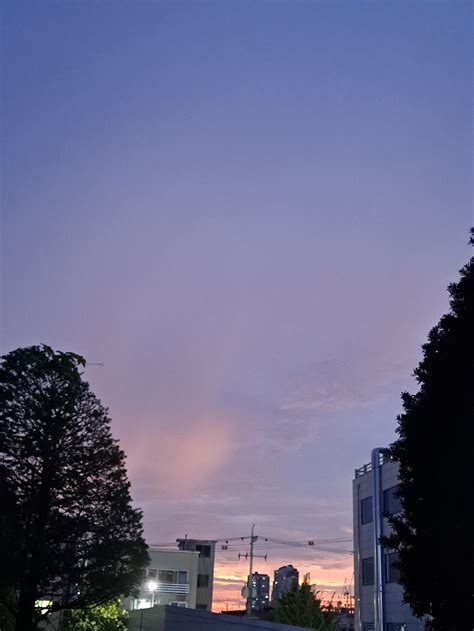 해 질 녘 파스텔 빛 하늘 붉은 저녁노을에 감동