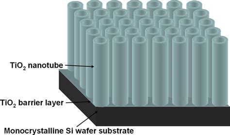 Schematic Illustration Of Anodically Formed Tio2 Nanotube Arrays On A