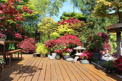 What Are Good Plants To Plant Around A Deck At Bill Voigt Blog
