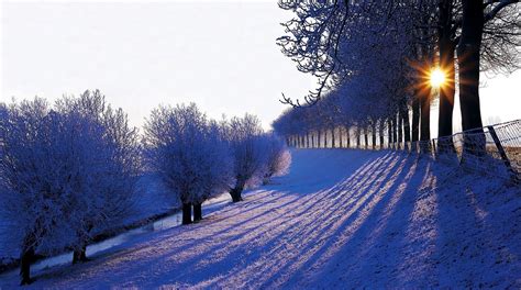 배경 화면 햇빛 자연 눈 겨울 아침 서리 동결 나무 날씨 시즌 3000x1677 픽셀 3000x1677 Goodfon 573063 배경 화면