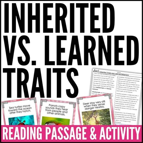 How To Use The Expanded Multiplication Method