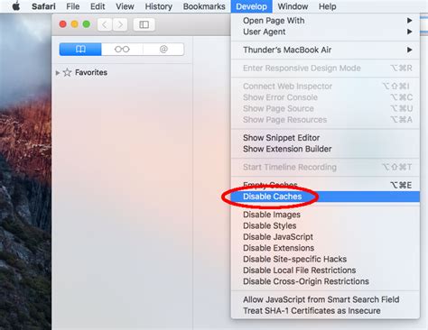 disable browser caching using developer tools thunder tech
