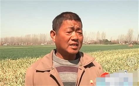 22亩大蒜一夜枯死损失十多万，农户哭诉被人打药，刑侦民警介入调查埠口周口街道