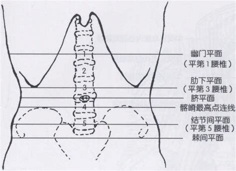 体表标志 泌尿科学 医学