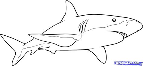 Shark Drawing Cartoon Free Download On ClipArtMag