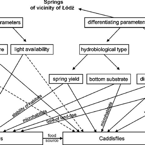 Diagram Of Differentiating And Non Differentiating Parameters Which Are