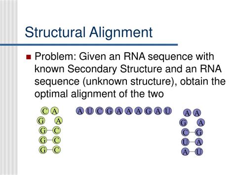 Ppt Non Coding Rna Powerpoint Presentation Free Download Id247486
