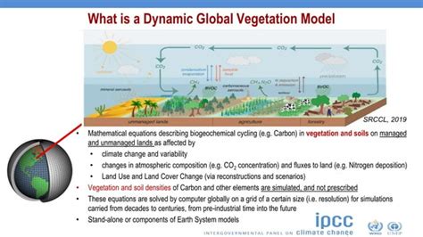 Dynamic Vegetation Global Models In Ipcc Working Group I Pptx Agriculture Industries