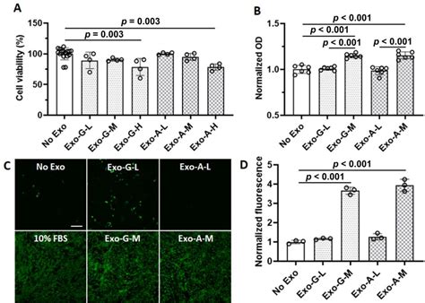 Figure 2 From Exosome Based Cell Homing And Angiogenic Differentiation For Dental Pulp
