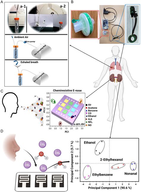 Chemiresistive Sensor Arrays For Gasvolatile Organic Compounds Monitoring A Review Rath