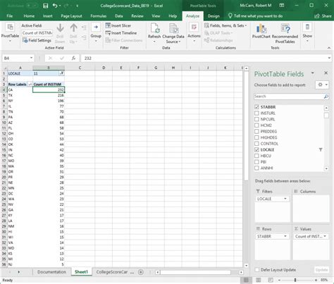 62 Sort And Filter Pivottable Data Business Computer Information Systems