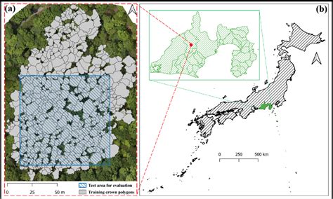 Figure 1 From Tree Crown Detection And Delineation In A Temperate