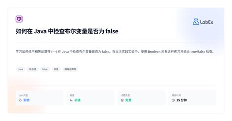 如何在 java 中检查布尔变量是否为 false labex