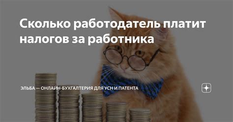 Сколько работодатель платит налогов за работника Эльба — онлайн бухгалтерия для УСН и патента