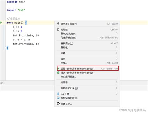 Goland软件包 Home 包含多个 Main 函数 请考虑改用文件种类错误 软件包 Demo1 包含多个 Main 函数 请考虑改用