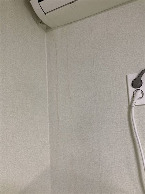 이거 벽지 왜 그래 ㅠㅠ 인스티즈 Instiz 일상 카테고리