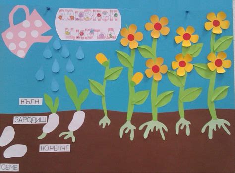 Pin Di Itzel Cacho Su Act Preescolar Scienza Per Bambini Educazione Bambini Idee Per Bambini