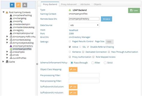 Command Line Configuration Guide Radiant Logic Documentation