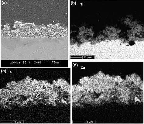 Sem Micrograph Secondary Electrons Of Cross Section Of Multilayer