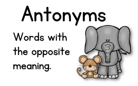 Poster Antonyms My Klaskamer