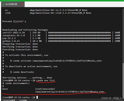 Centos7宝塔部署python宝塔部署python项目 Csdn博客