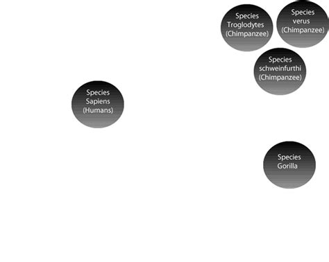 Biology Classification Taxa