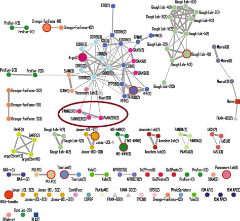 Correlation Network Representation Echemi