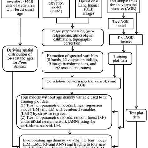 The Methodological Framework Of Estimating The Forest Aboveground Download Scientific Diagram