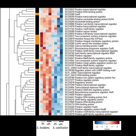 Cluster C Heatmap Representation Of Transcriptional Regulators And