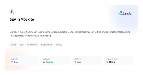 Mockito Spy Java Mockito Spy Example Labex