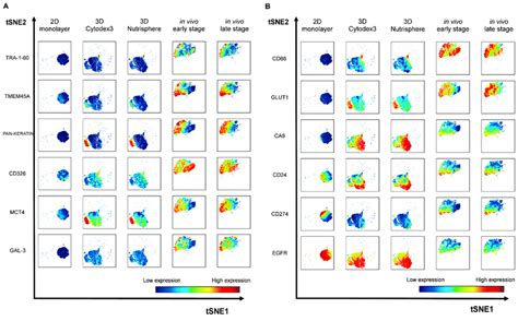 Representative Multidimensional Visualization Of Stochastic Neighbor