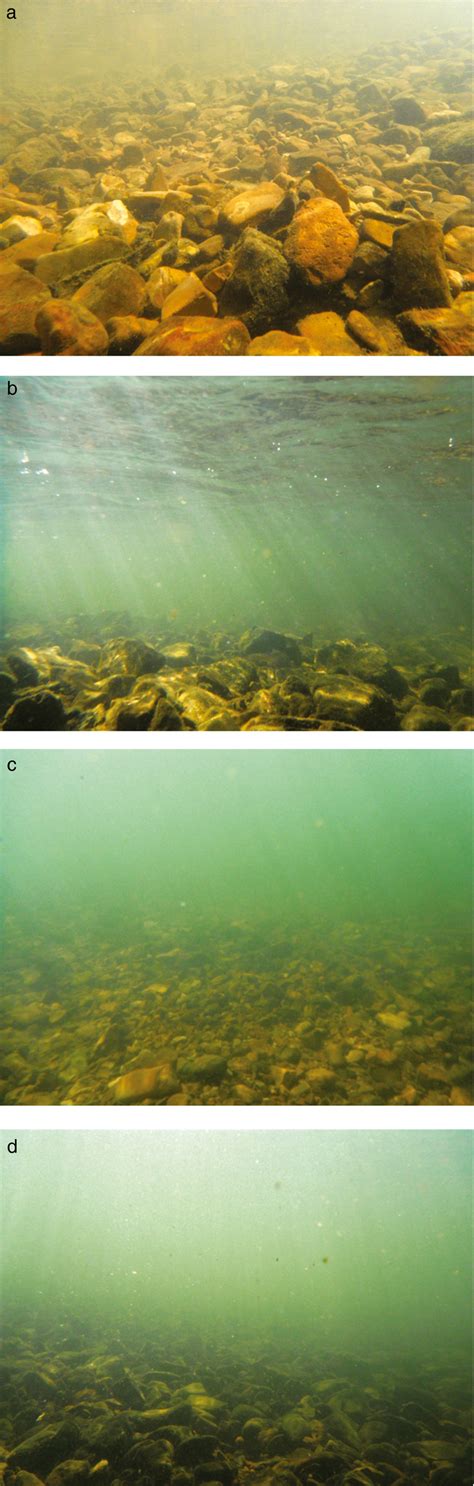 Sets Of Photographs Representing Duplicates Of Field Measurements A Download Scientific