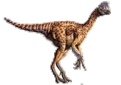 Oviraptor Dinosaur Wiki Fandom