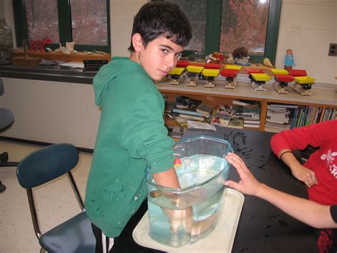 Mr Williams 6th Grade Science Blog Sink Float And Density