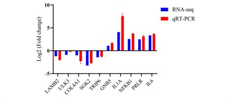 Validation Of The Rna Seq Data By Real Time Qrt Pcr Download
